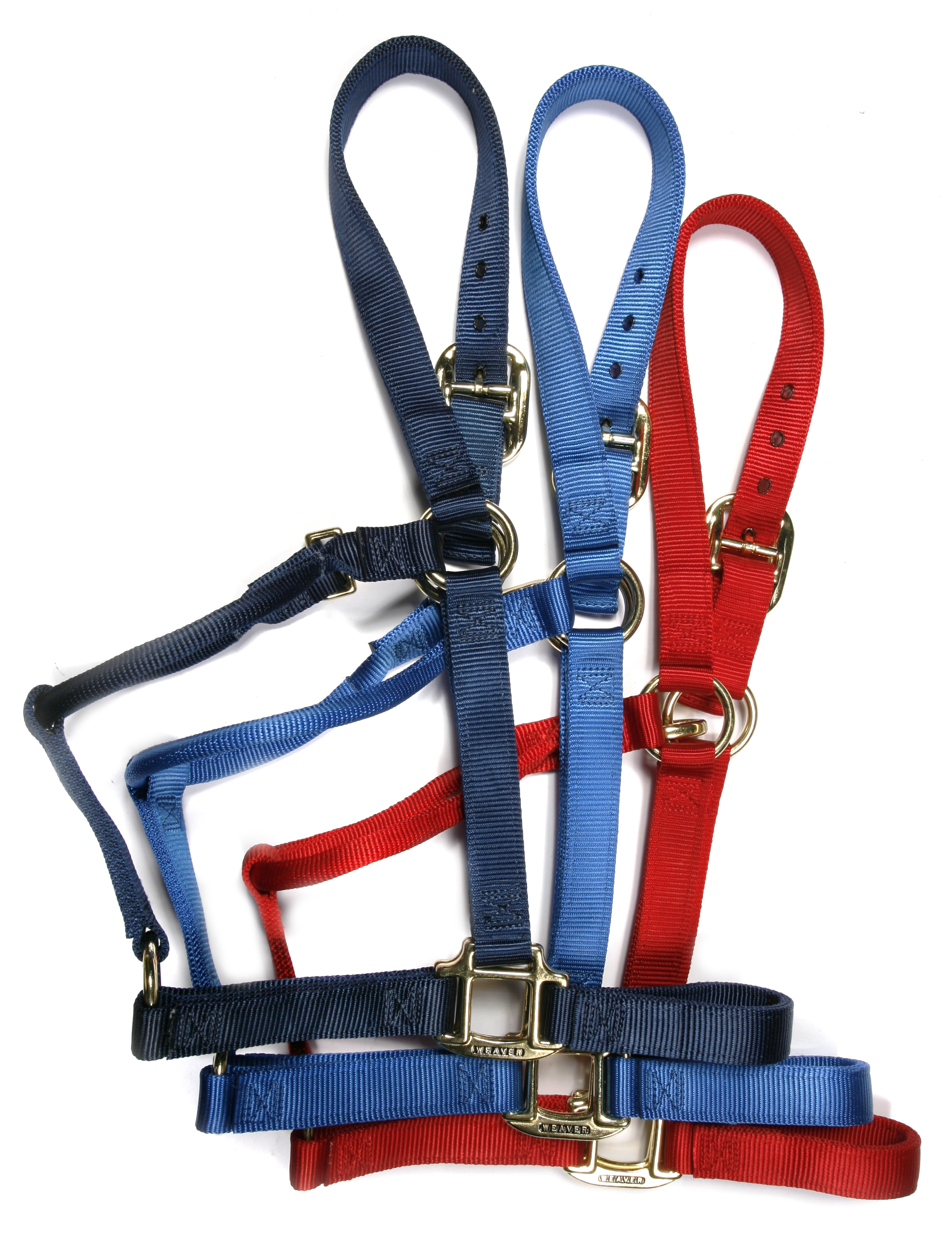 Weaver Nylon Halter with Clip - Worldwide Tack : Worldwide Tack